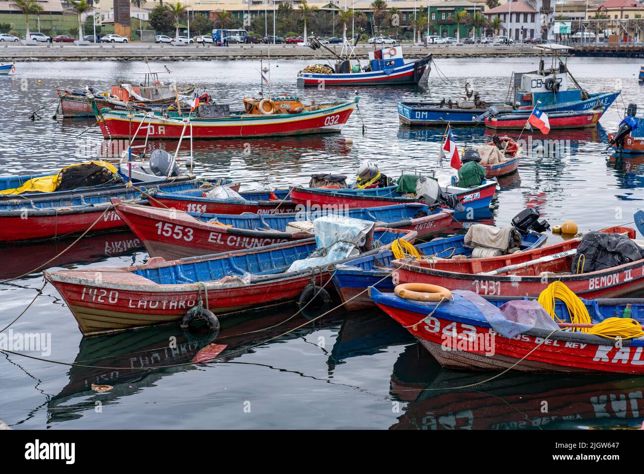 Fishing boats moored in the boat basin at Antofagasta, Chile Stock ...