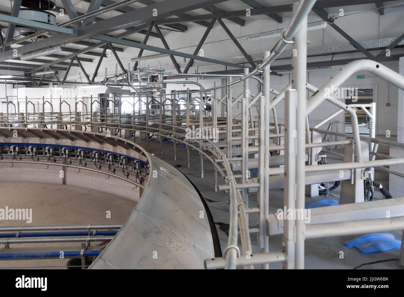 hall for automatic milking of cows on a modern dairy farm Stock Photo ...