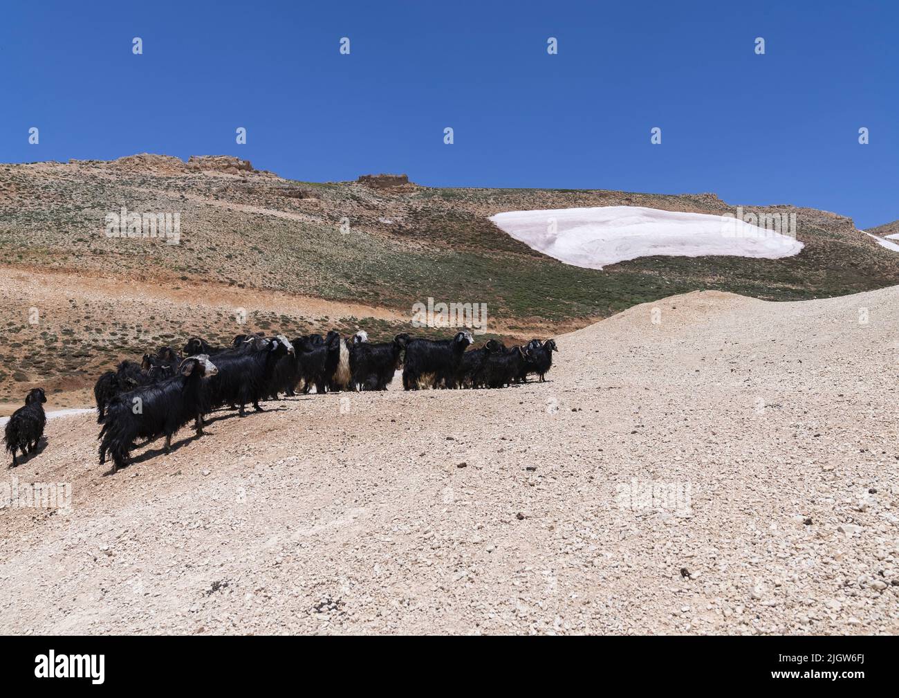 Daher group hi-res stock photography and images - Alamy