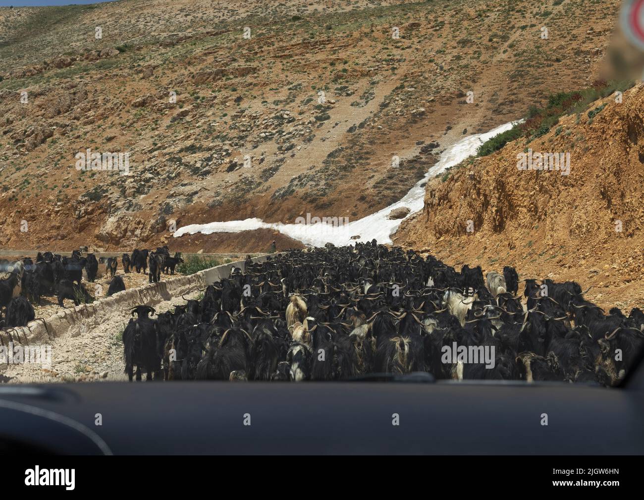 Liban 2022 0515 hi-res stock photography and images - Alamy