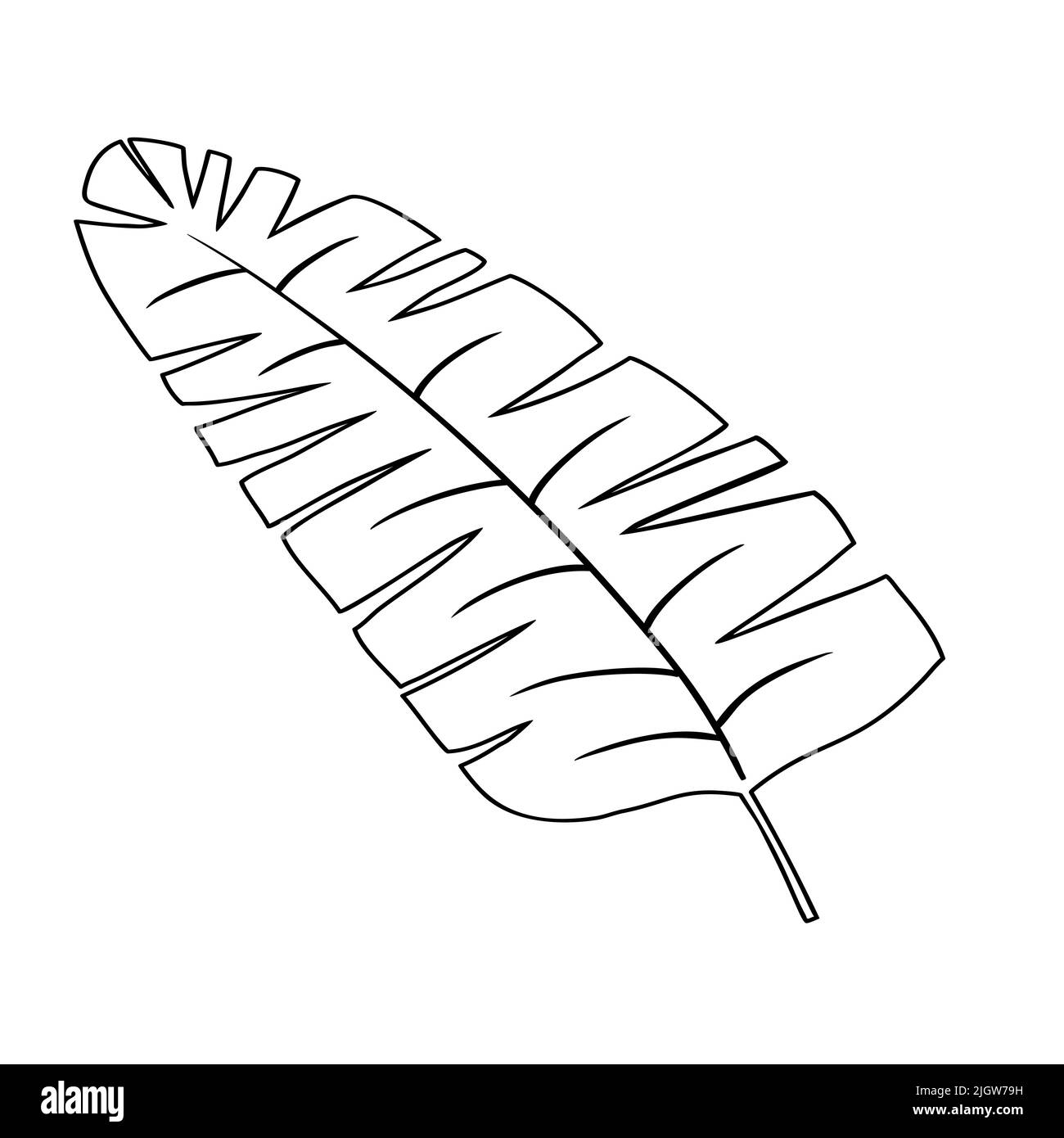 Tropical leaf vector illustration on white background Stock Vector ...