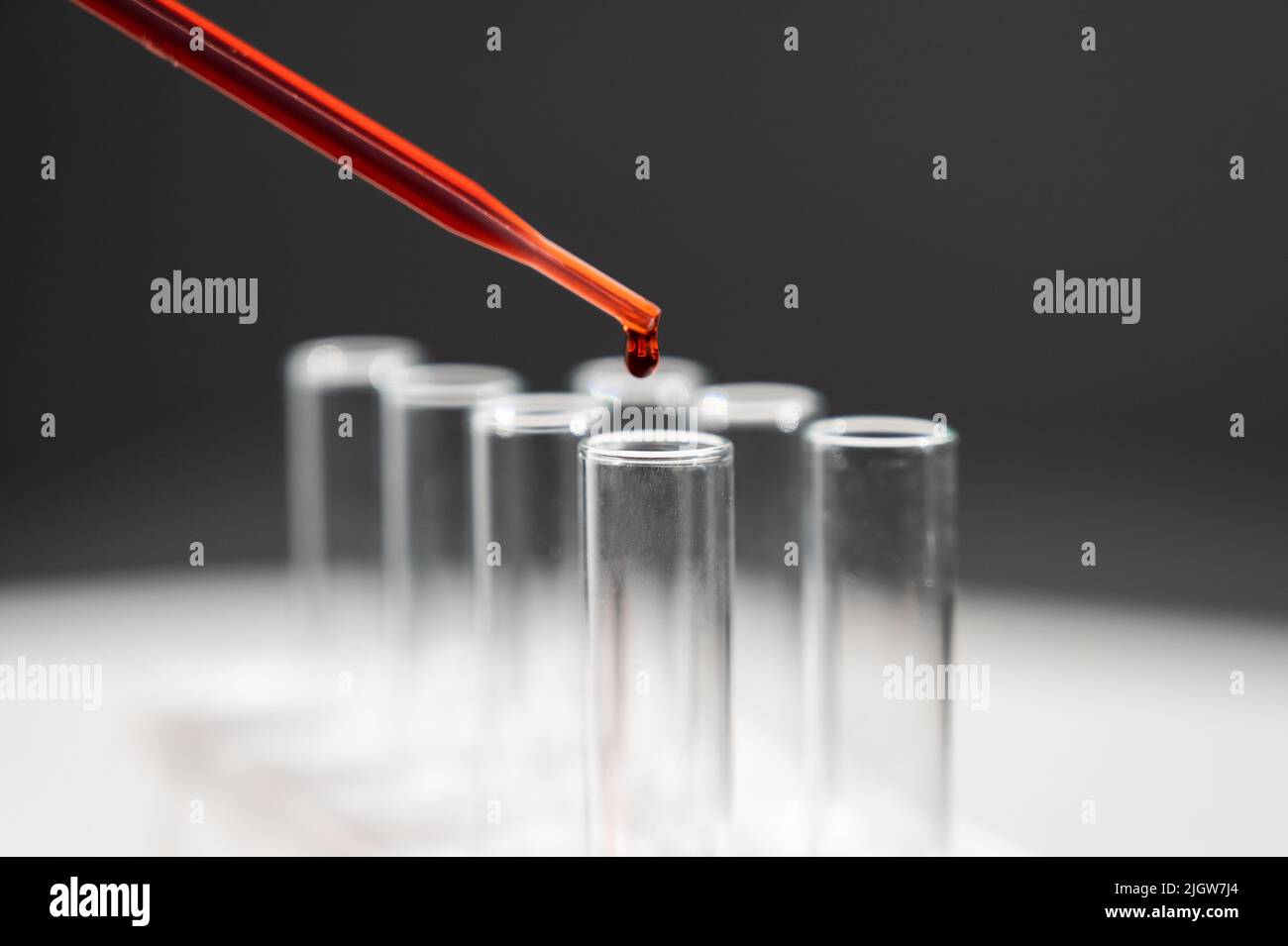 Close-up of a laboratory assistant dripping blood from a pipette into a ...