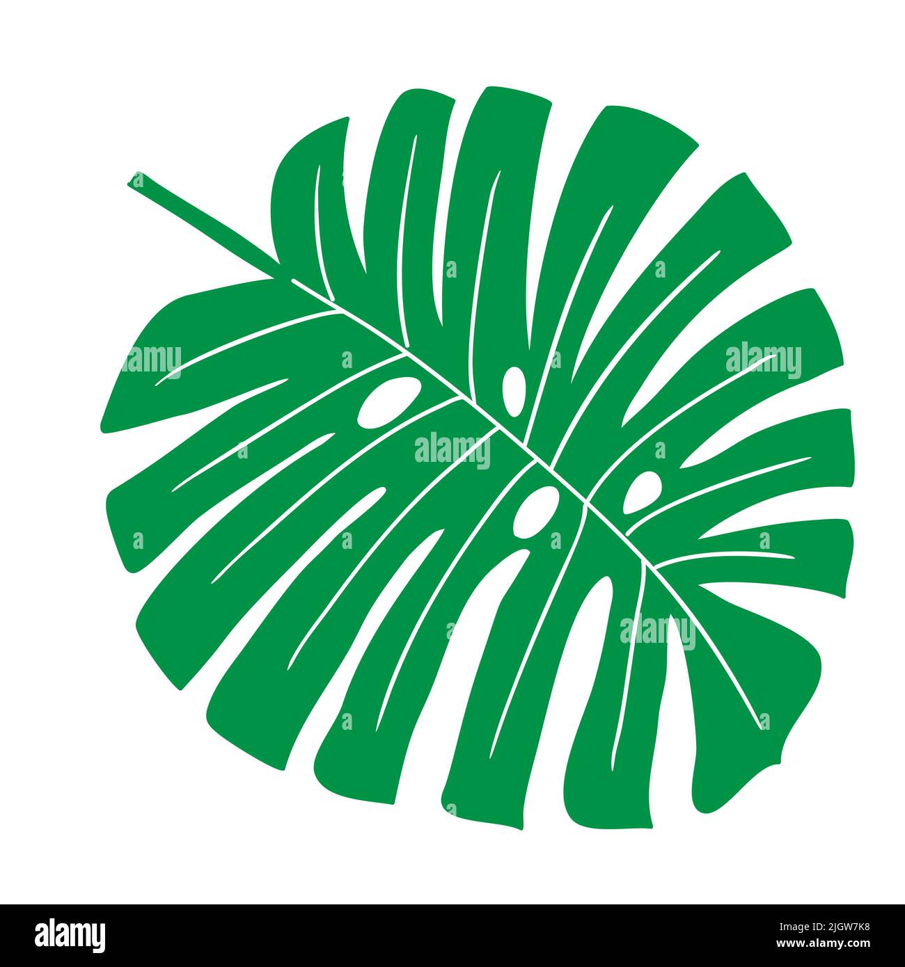Tropical leaf vector illustration on white background Stock Vector ...