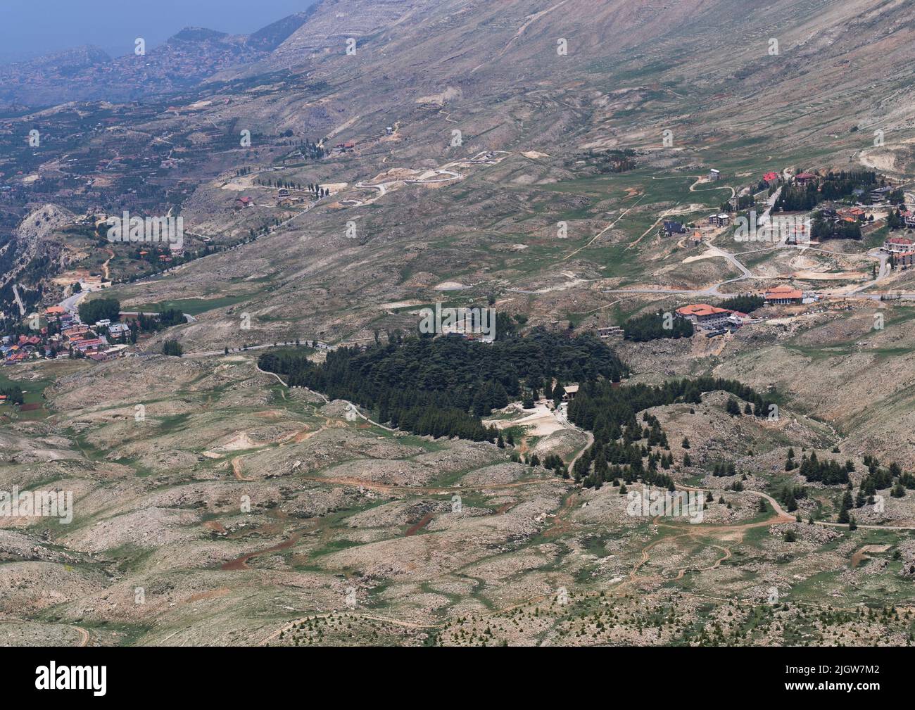 A forest of cedars seen from above, North Governorate, Daher el Kadib ...