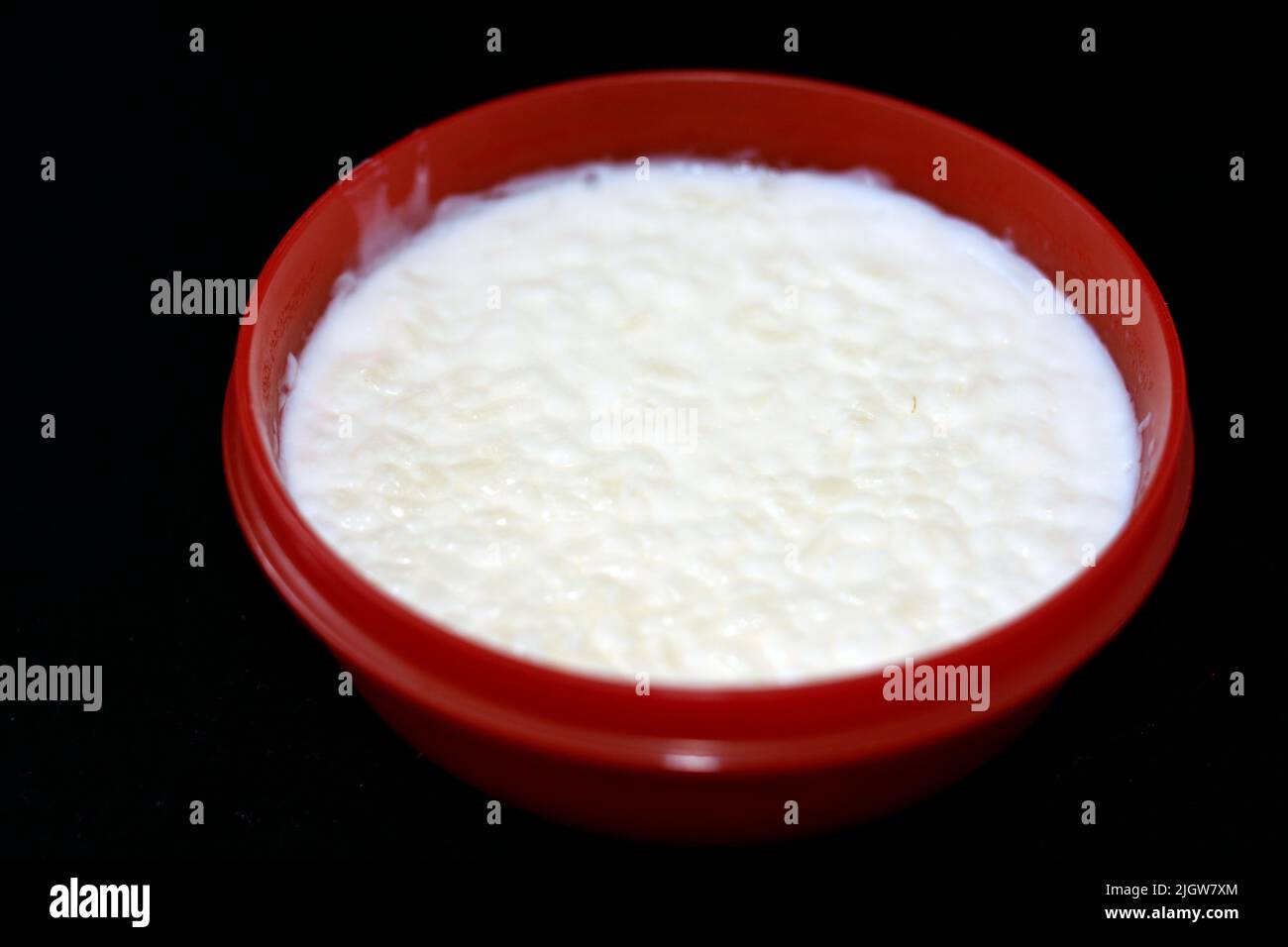 Plain Curd Rice