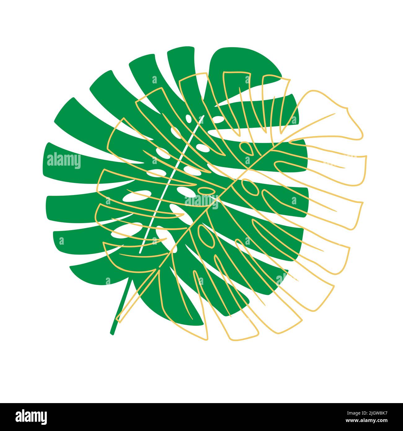 Tropical leaf vector illustration on white background Stock Vector ...