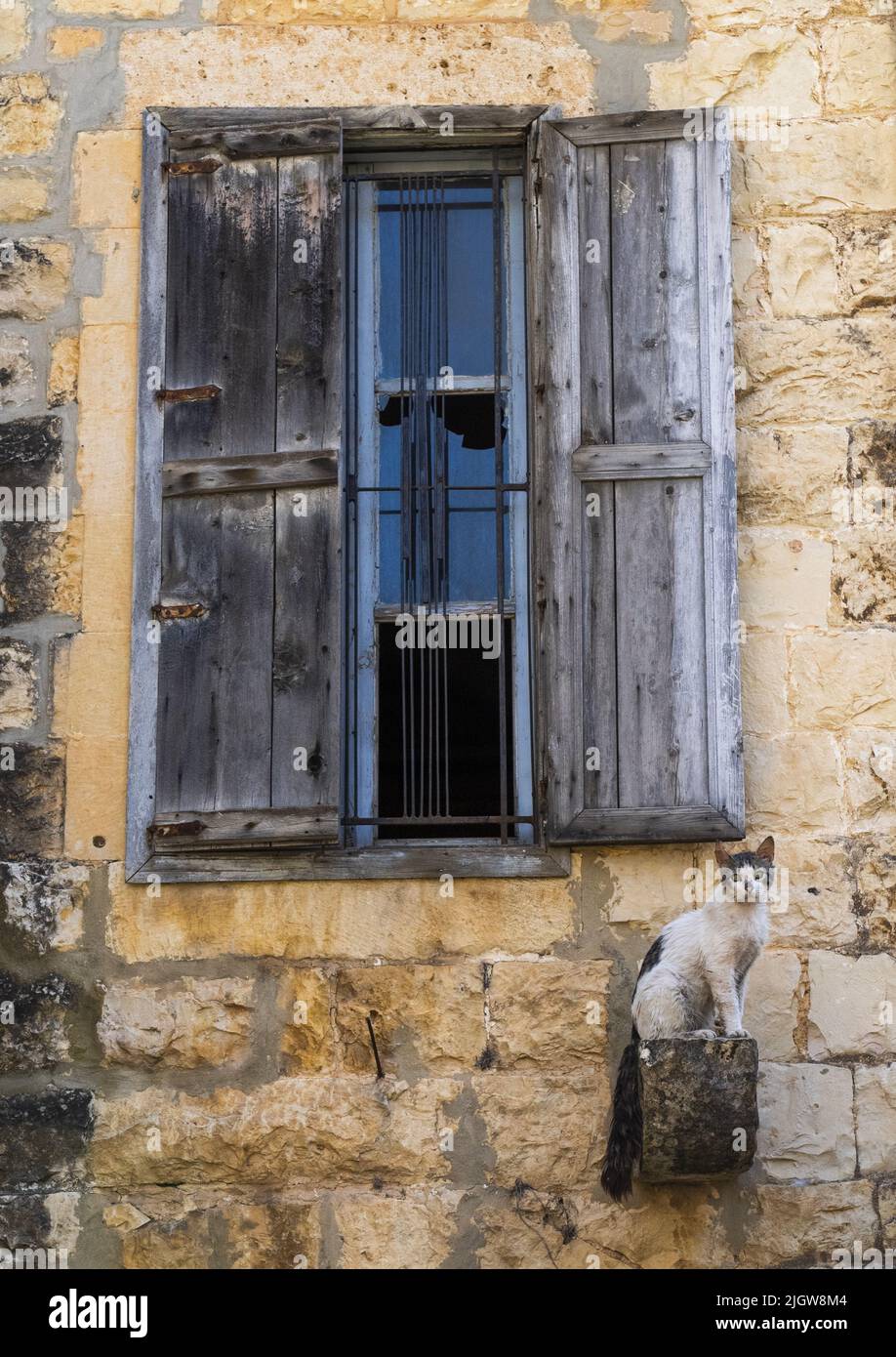 Cat in front of the window of an old heritage house, Mount Lebanon ...