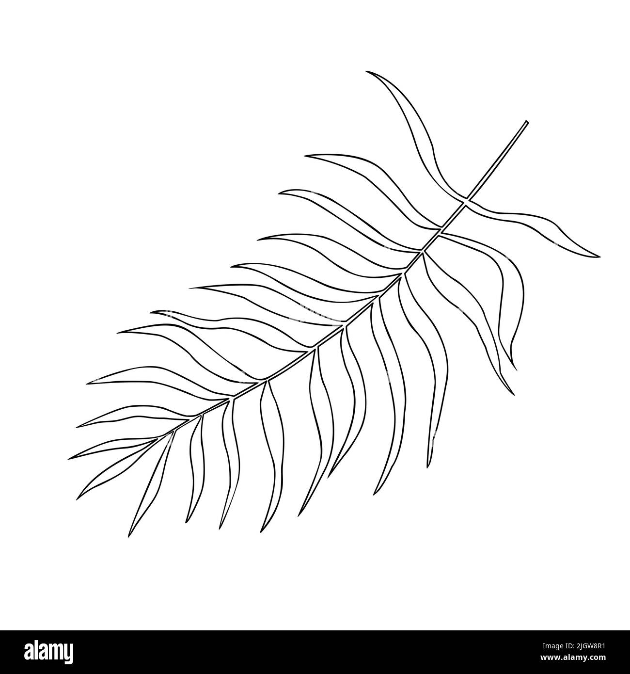 Tropical leaf vector illustration on white background Stock Vector ...