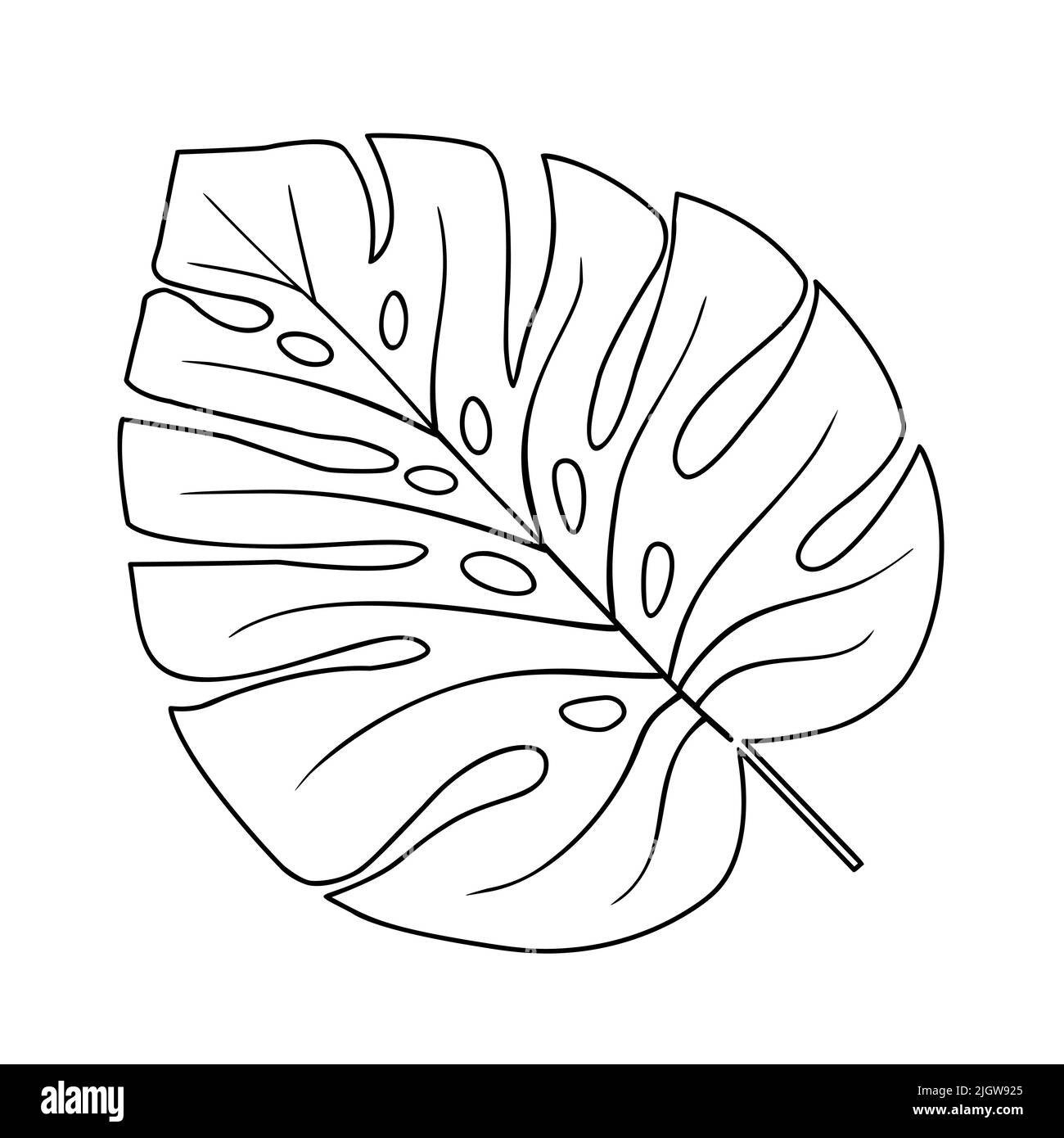 Tropical leaf vector illustration on white background Stock Vector ...