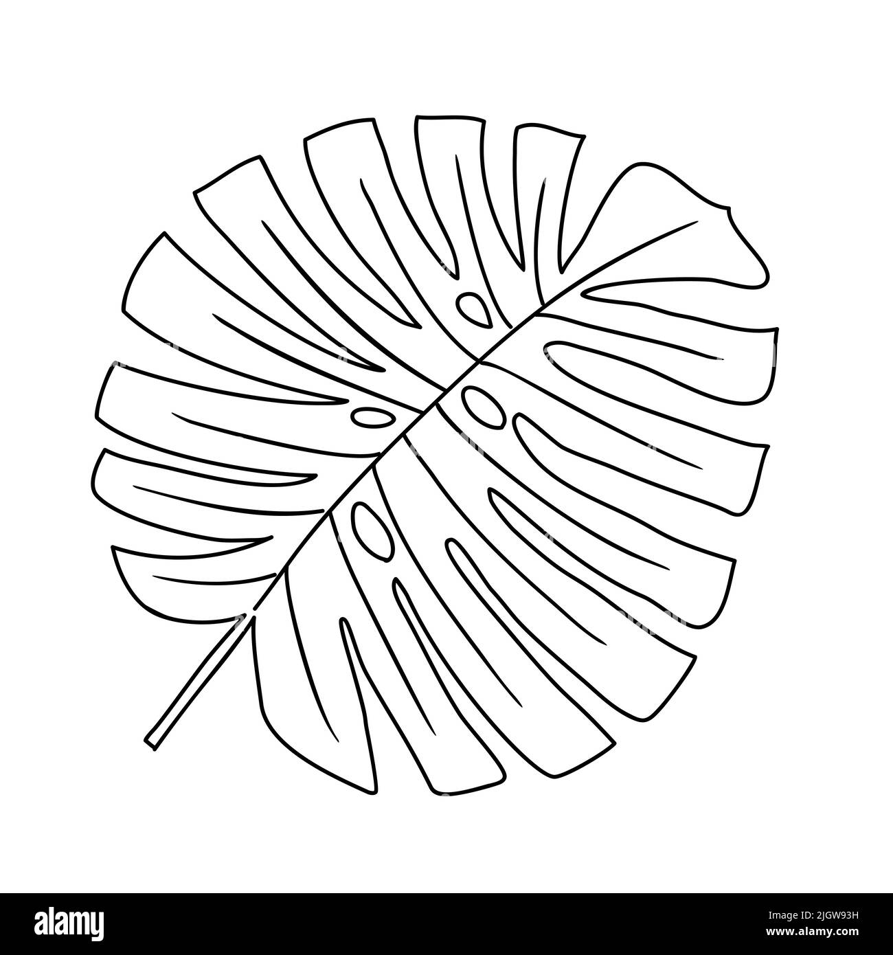 Tropical leaf vector illustration on white background Stock Vector ...