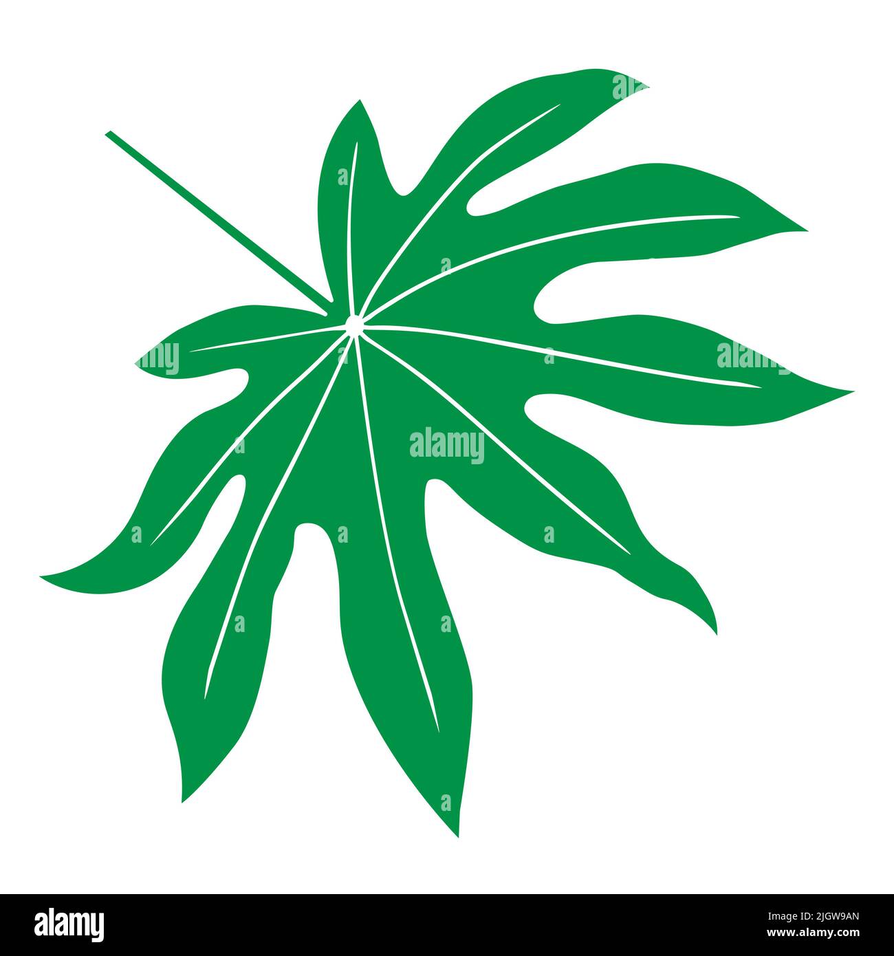Tropical leaf vector illustration on white background Stock Vector ...