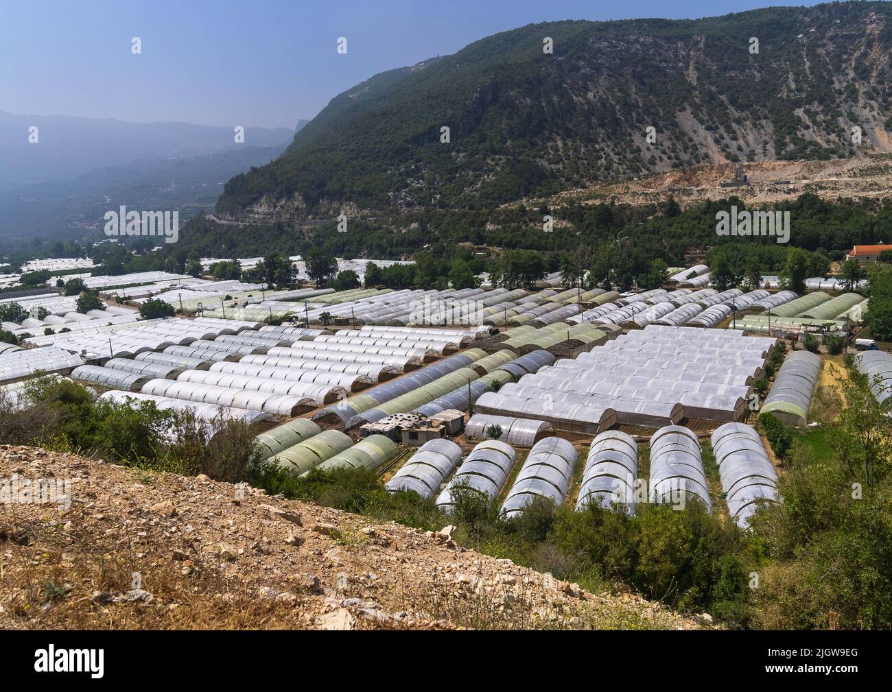 Lebanon farming hi-res stock photography and images - Alamy