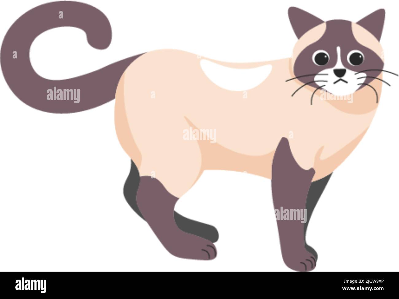 Small pet animal whisker Stock Vector Images - Alamy