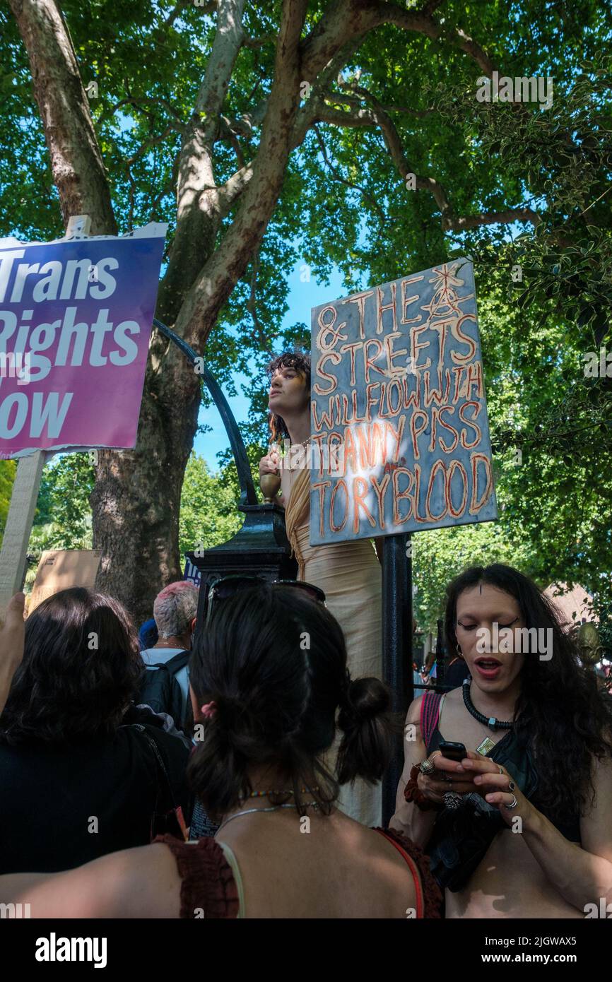 Trans Community and Supports do their yearly march through London ...