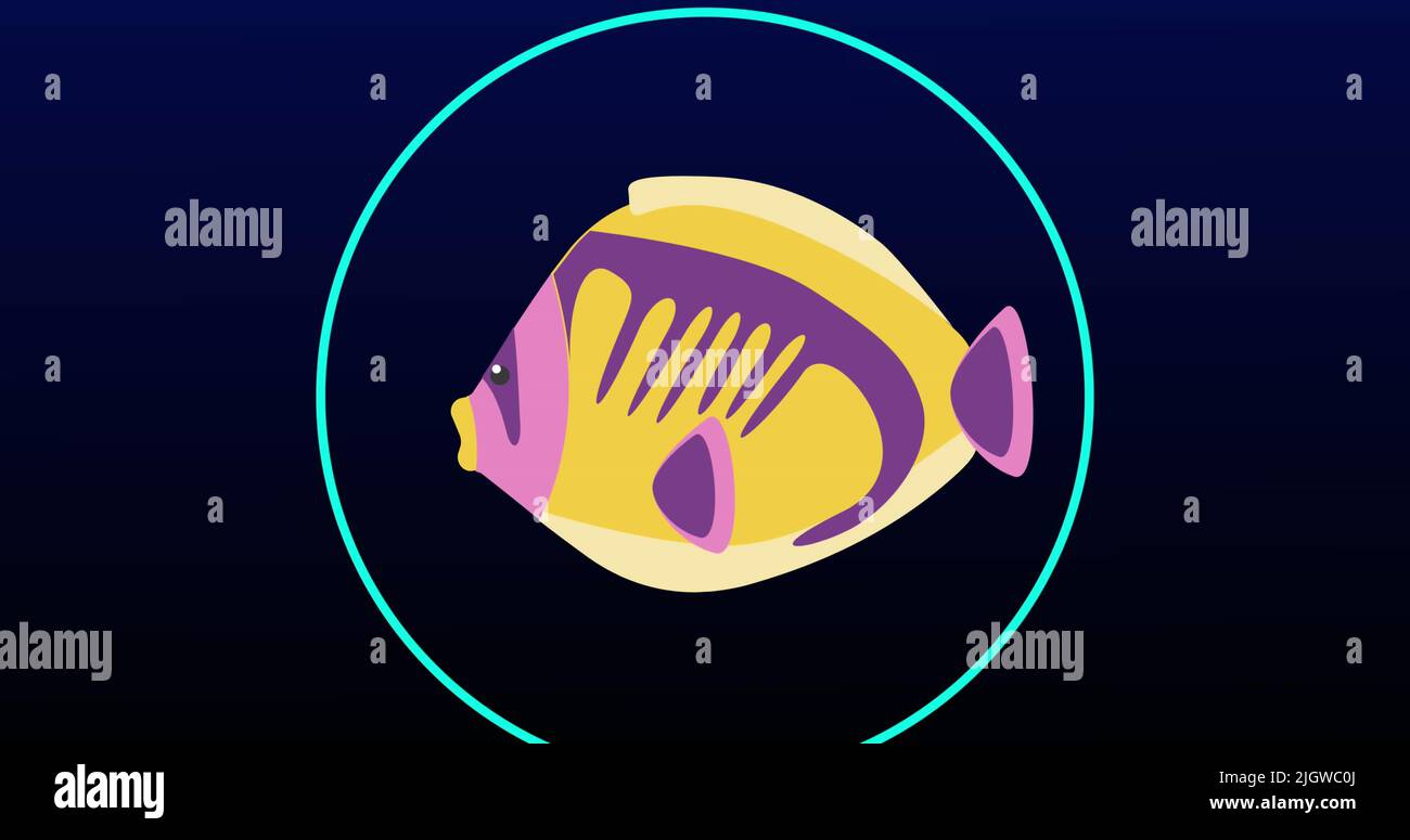 Fish shapes hi-res stock photography and images - Alamy