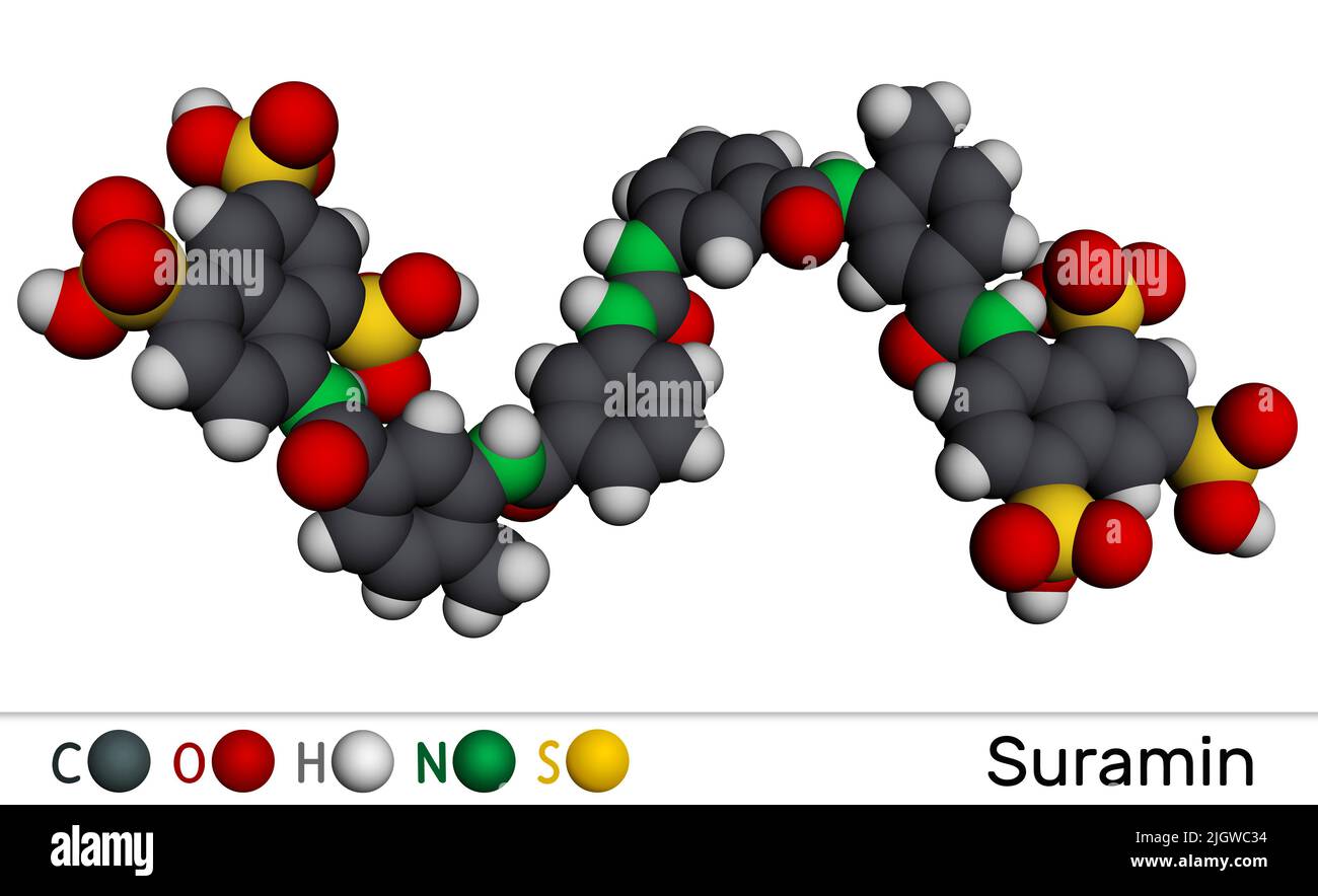 Suramin drug molecule. It is used to treat African sleeping sickness ...