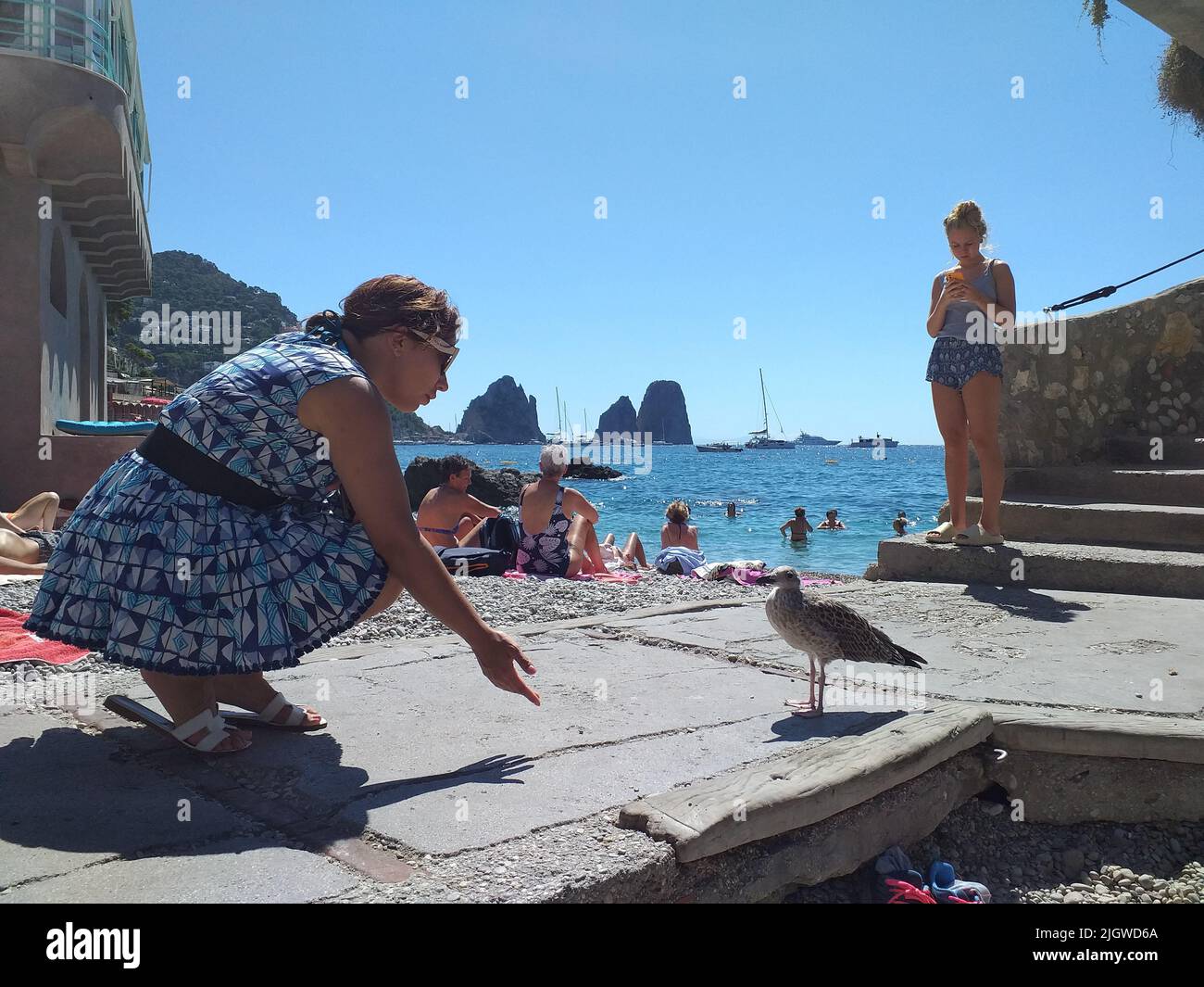 Capri (Italy): bathers and a seagull on the beach of Marina Piccola in ...