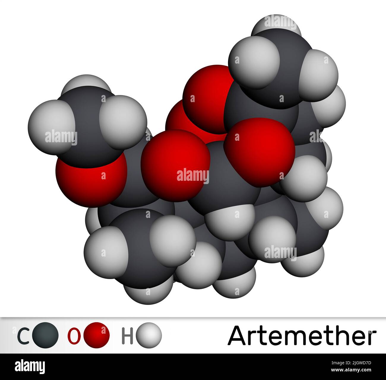 Artemether molecule. It is used for the treatment of malaria. Molecular ...