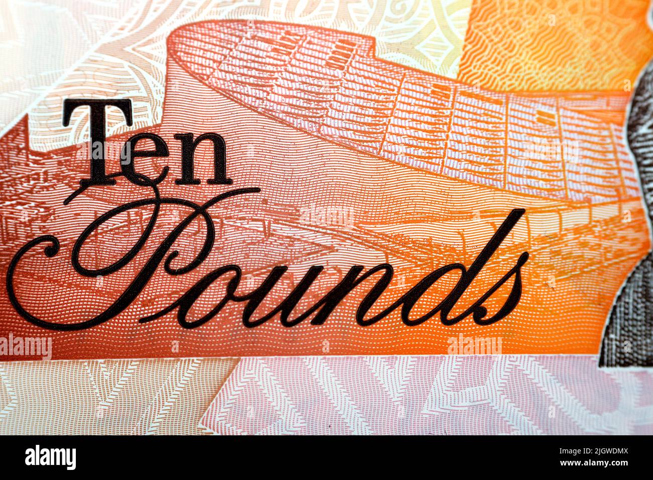 Ten pounds closeup view from the reverse side of the new first Egyptian ...