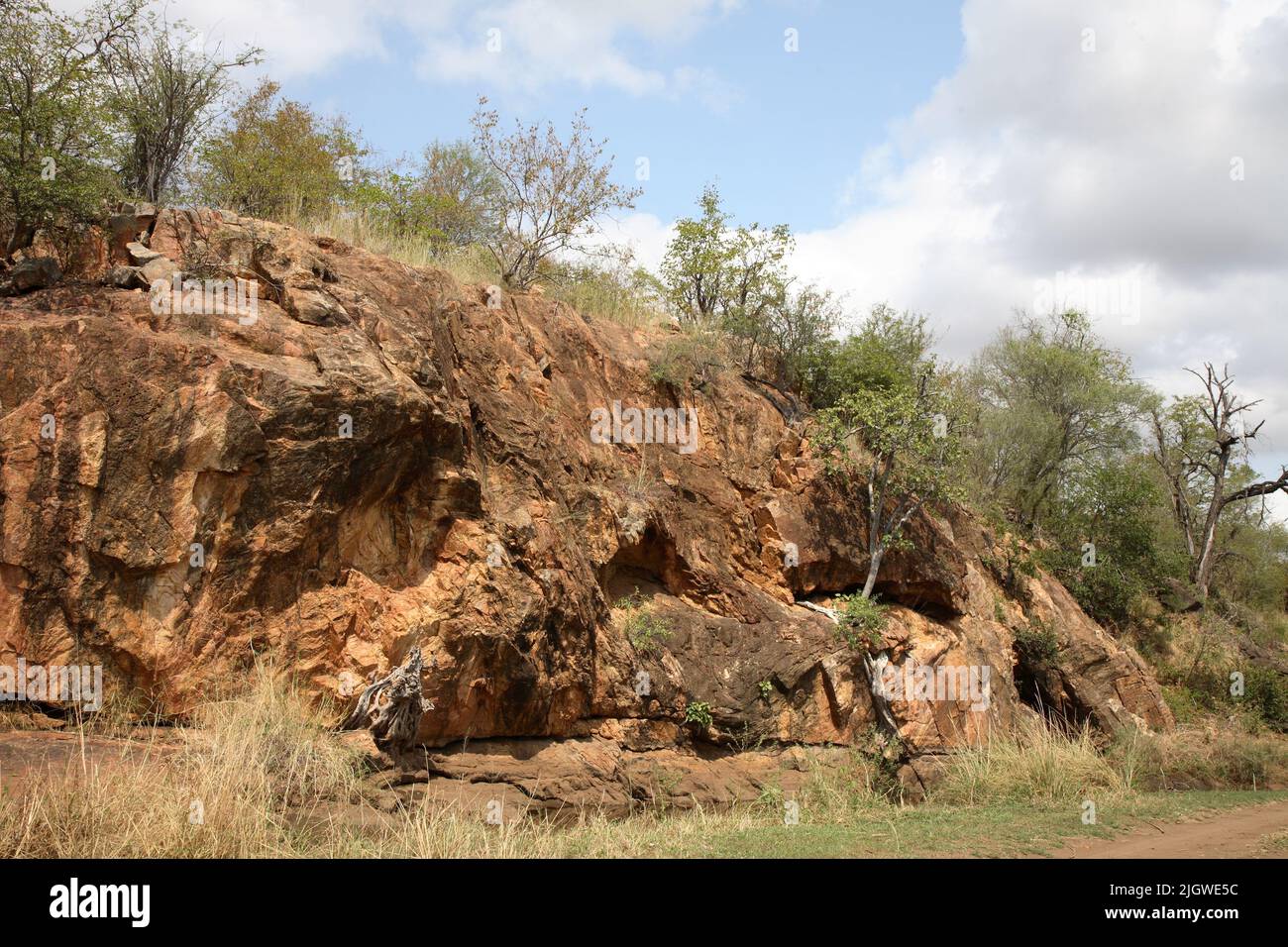 Afrikanischer Busch / African Bush Stock Photo - Alamy