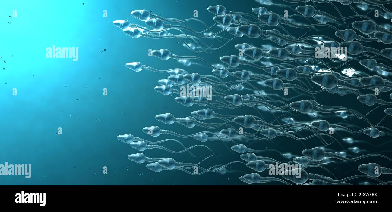 Many sperm cells, slightly transparent, scientifically correct moving ...