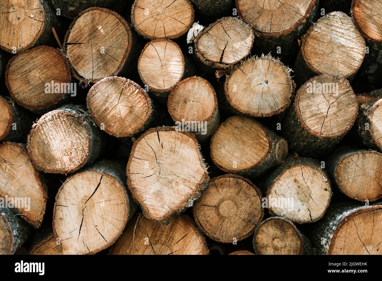 stack of wood - texture of logs Stock Photo - Alamy