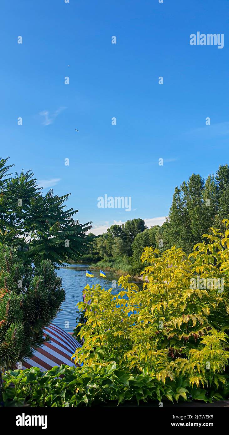 House on the background of nature. blue sky. summer landscape. Green ...