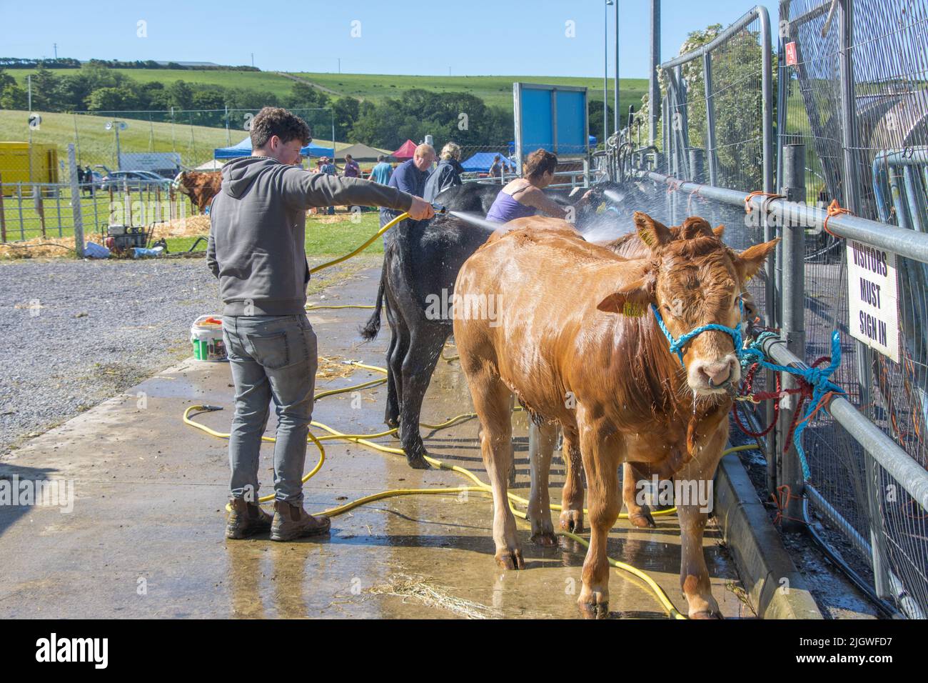 Barryroe Show 2022 Stock Photo - Alamy