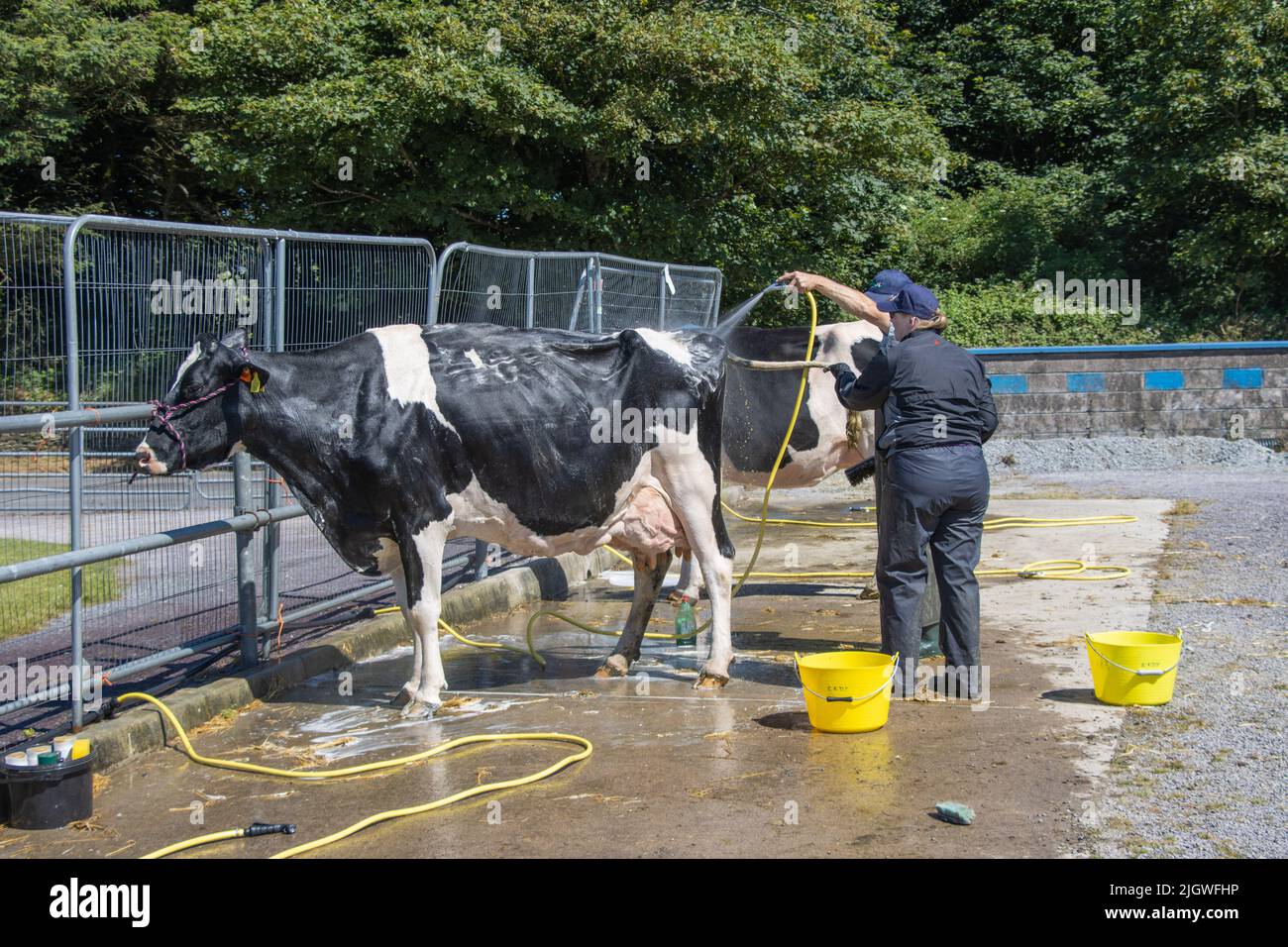 Barryroe Show 2022 Stock Photo - Alamy
