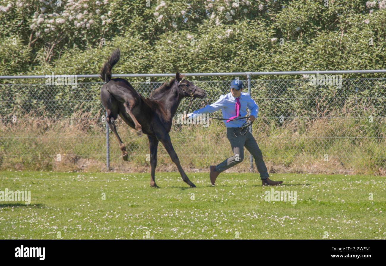 Barryroe Show 2022 Stock Photo - Alamy