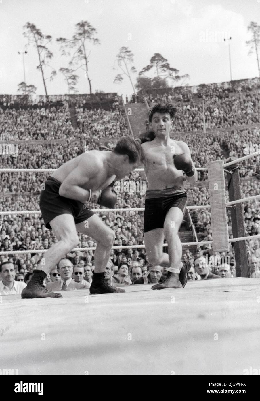 Waldbuhne berlin hi-res stock photography and images - Alamy