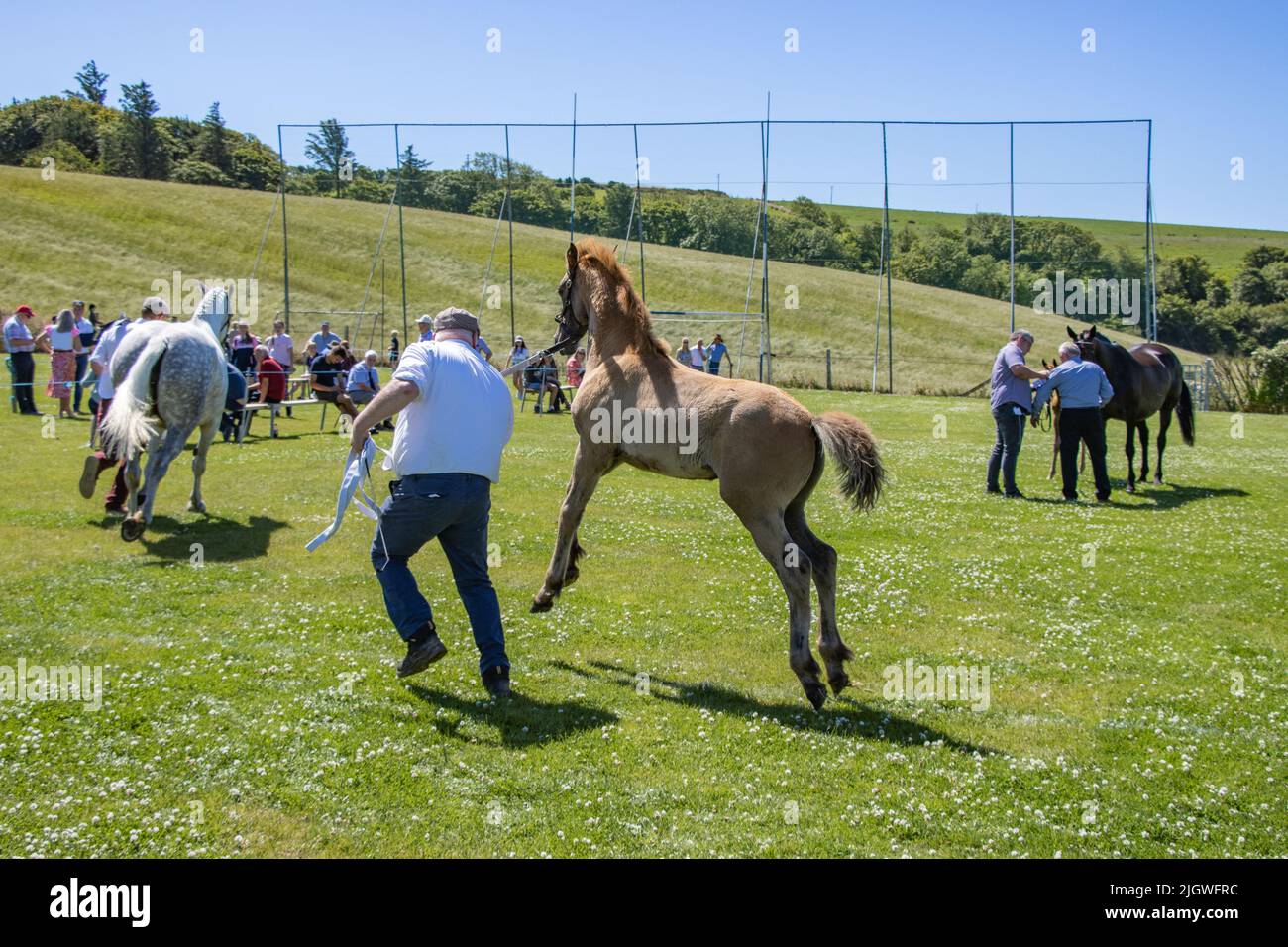 Barryroe Show 2022 Stock Photo - Alamy