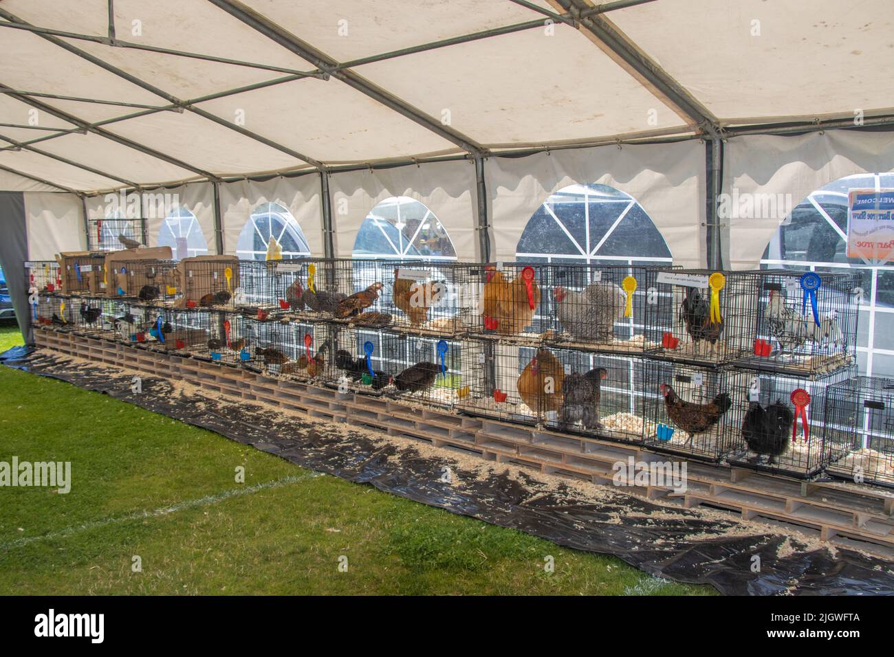 Barryroe Show 2022 Stock Photo - Alamy