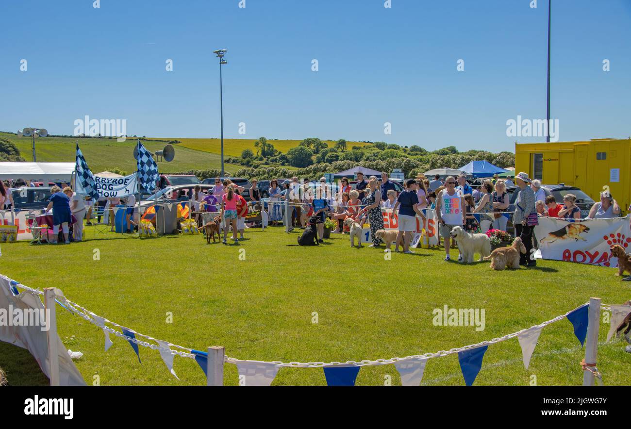 Barryroe hi-res stock photography and images - Alamy
