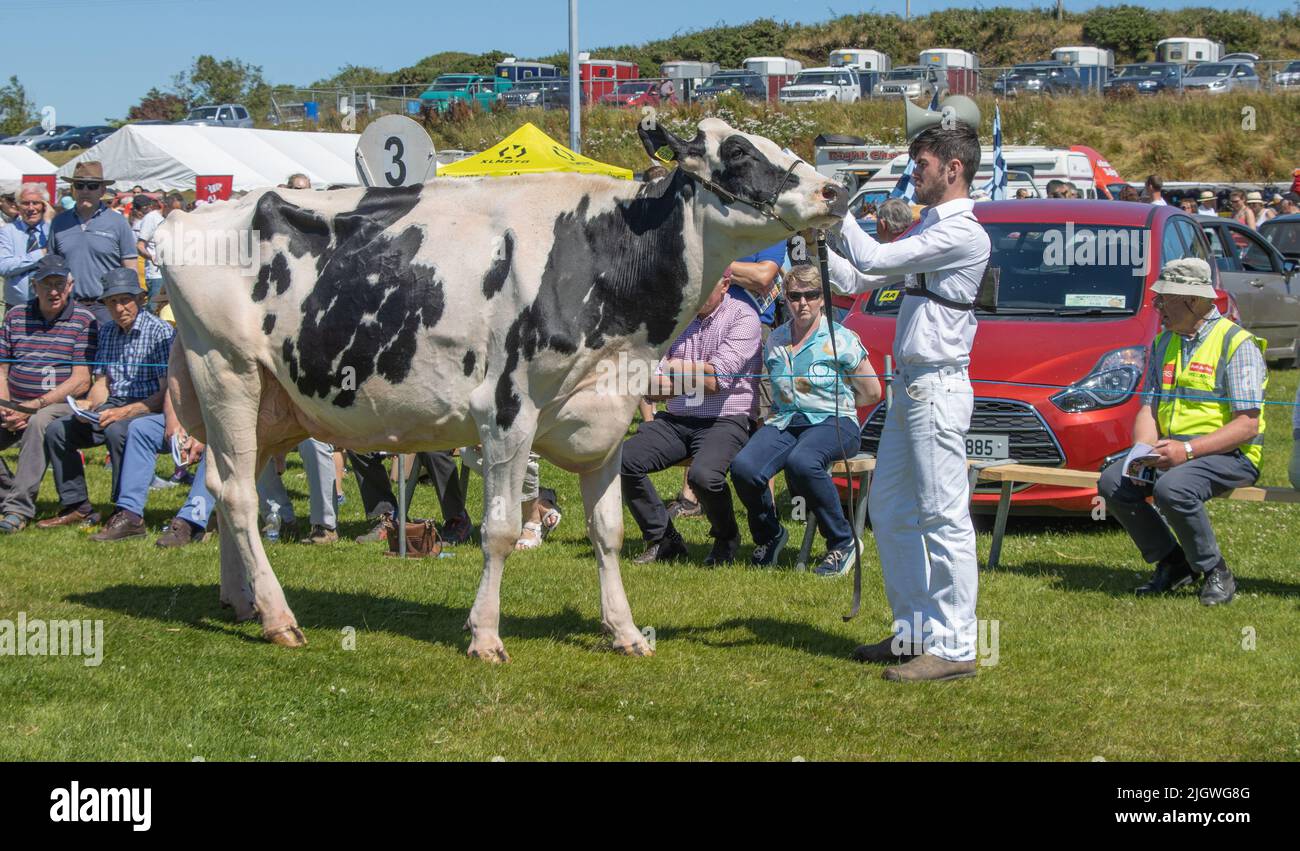 Barryroe Show 2022 Stock Photo - Alamy