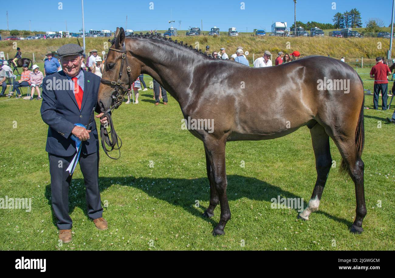 Barryroe Show 2022 Stock Photo - Alamy