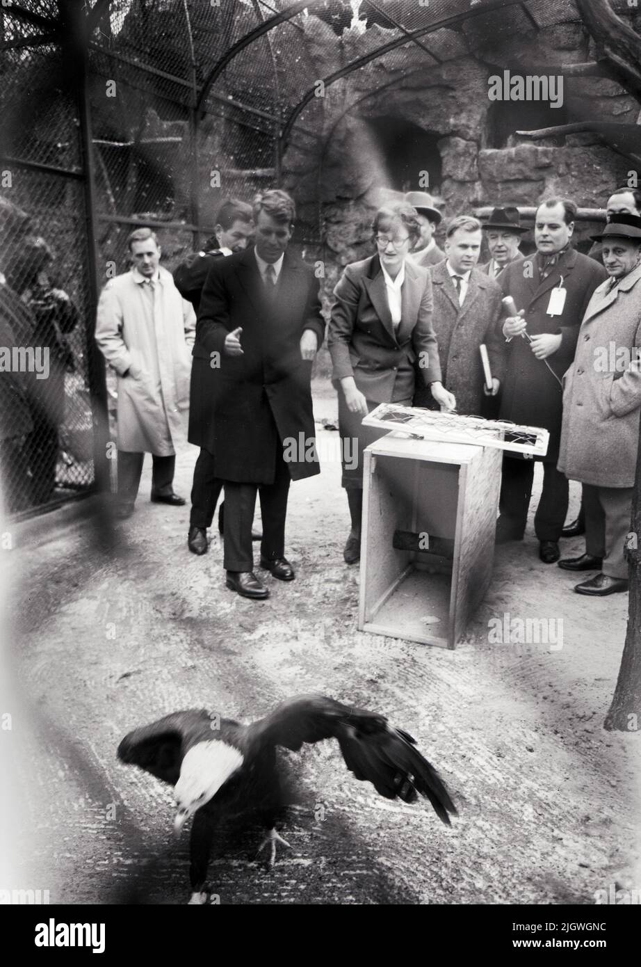 Robert F. Kennedy mit Gattin Ethel in Berlin 1962 - Original ...