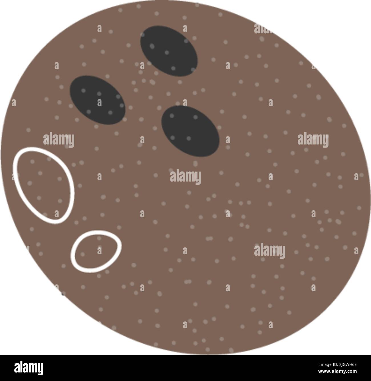 Coconut whole isolated Stock Vector Images - Alamy