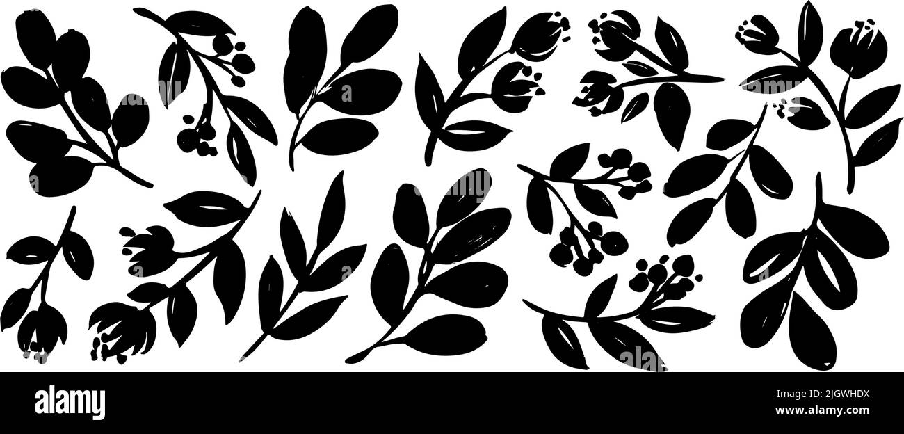 Plant branches with small leaves and flowers Stock Vector Image & Art ...