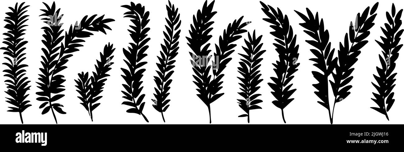 Rustic decorative plants, leaves and branches set Stock Vector Image ...