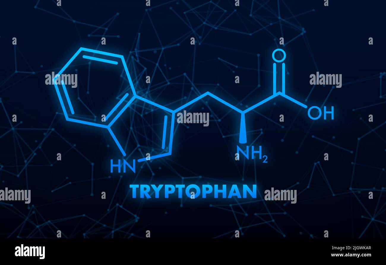 Tryptophan formula. Tryptophan or l-tryptophan, Trp, W amino acid molecule Stock Vector Image ...