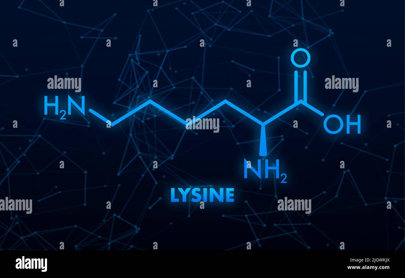 Lysine formula, great design for any purposes. Essential Amino Acid ...