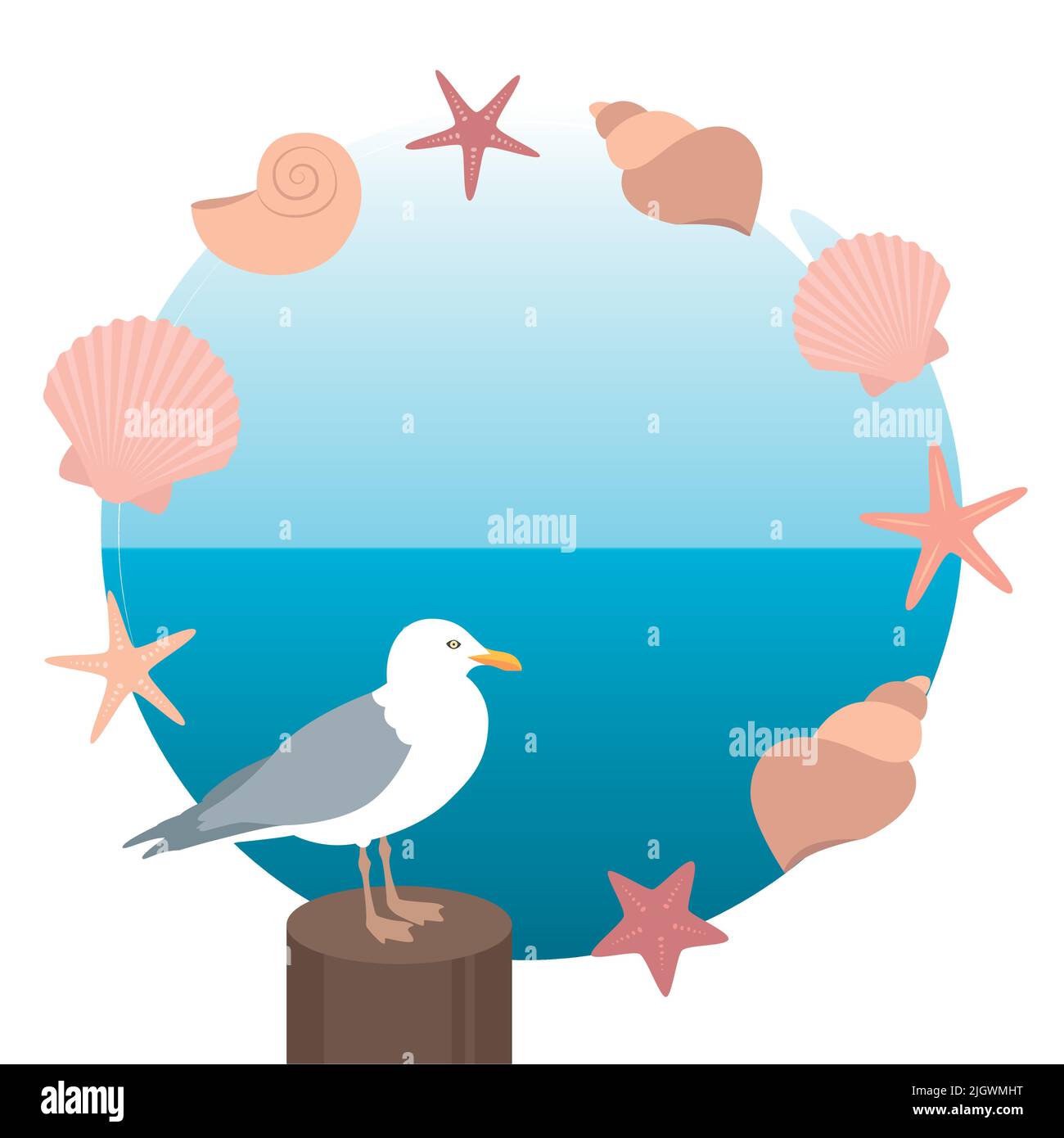 Sea shell drawing Cut Out Stock Images & Pictures - Alamy