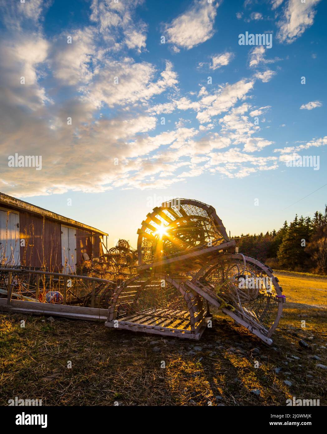 A pile of empty animal cages at a farm in the countryside with the Sun ...
