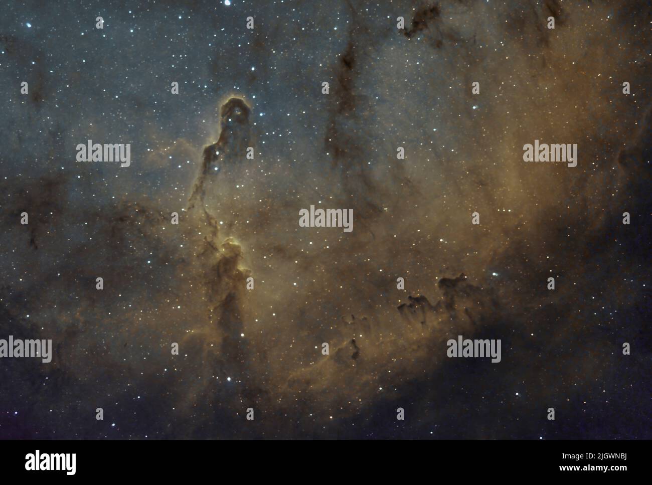 The Elephant's trunk nebula (IC 1396a), within the constellation ...