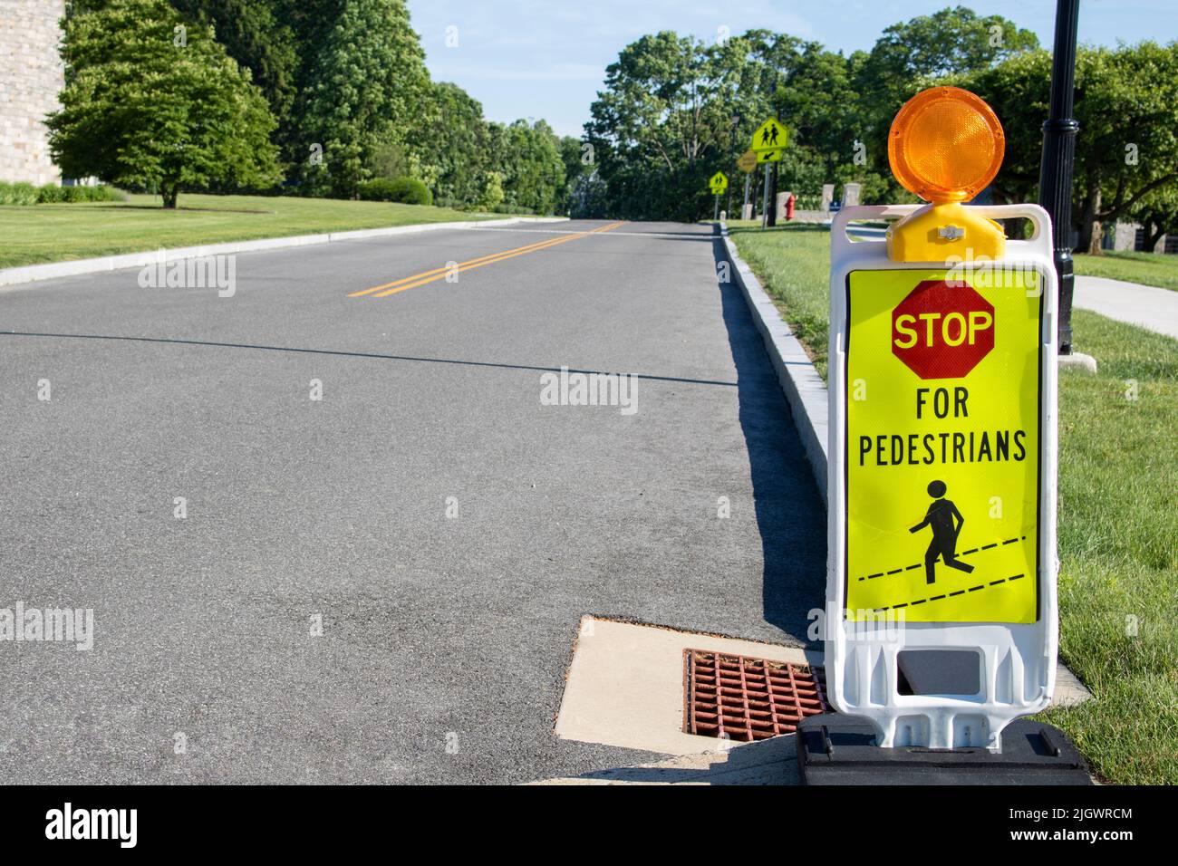 Floor stop sign on street for cars to stop for padetrians Stock Photo ...