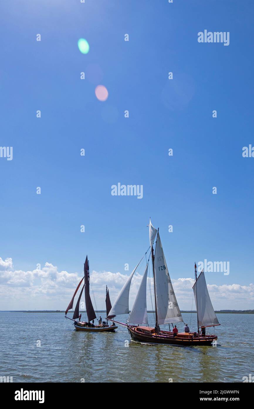 Zeesenboot Regatta, Wustrow, Saaler Bodden, Mecklenburg-West Pomerania ...