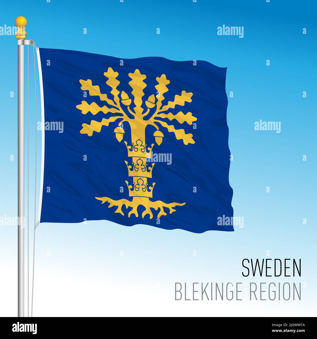 Blekinge regional flag, Kingdom of Sweden, vector illustration Stock ...