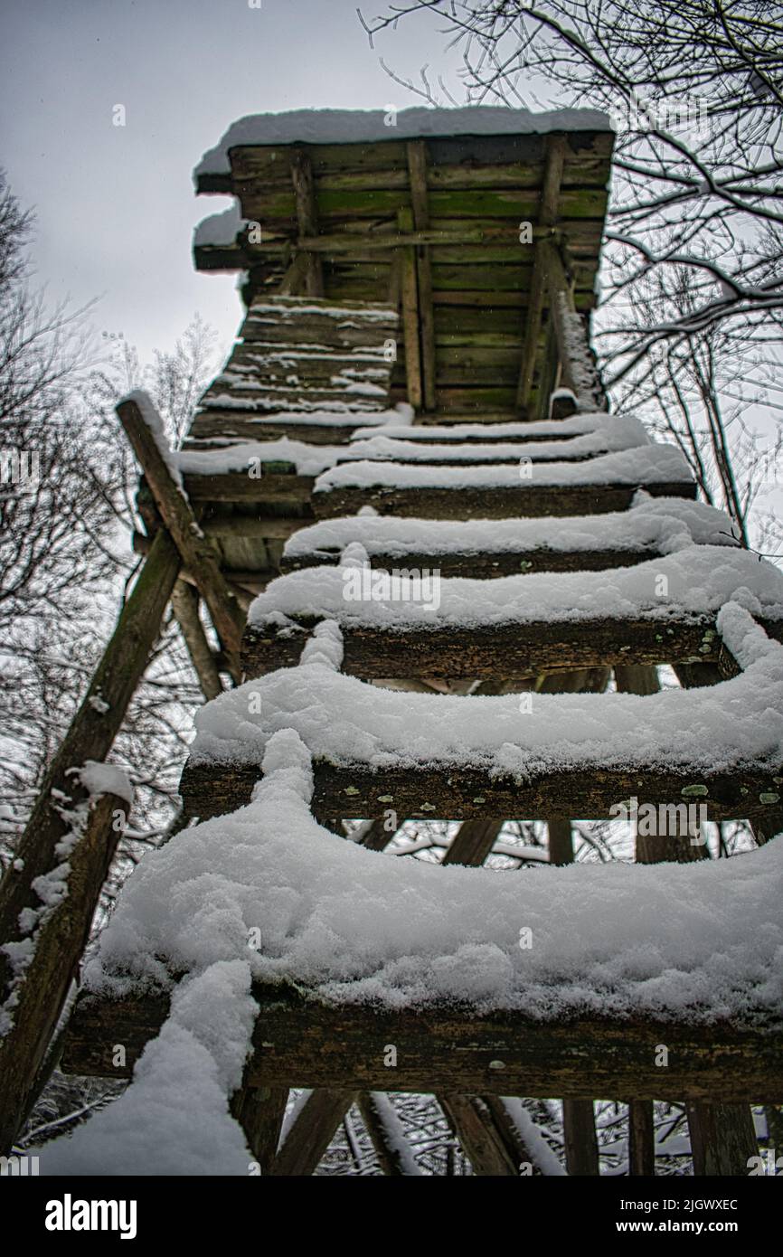 Hunter stand in the woods Stock Photo - Alamy