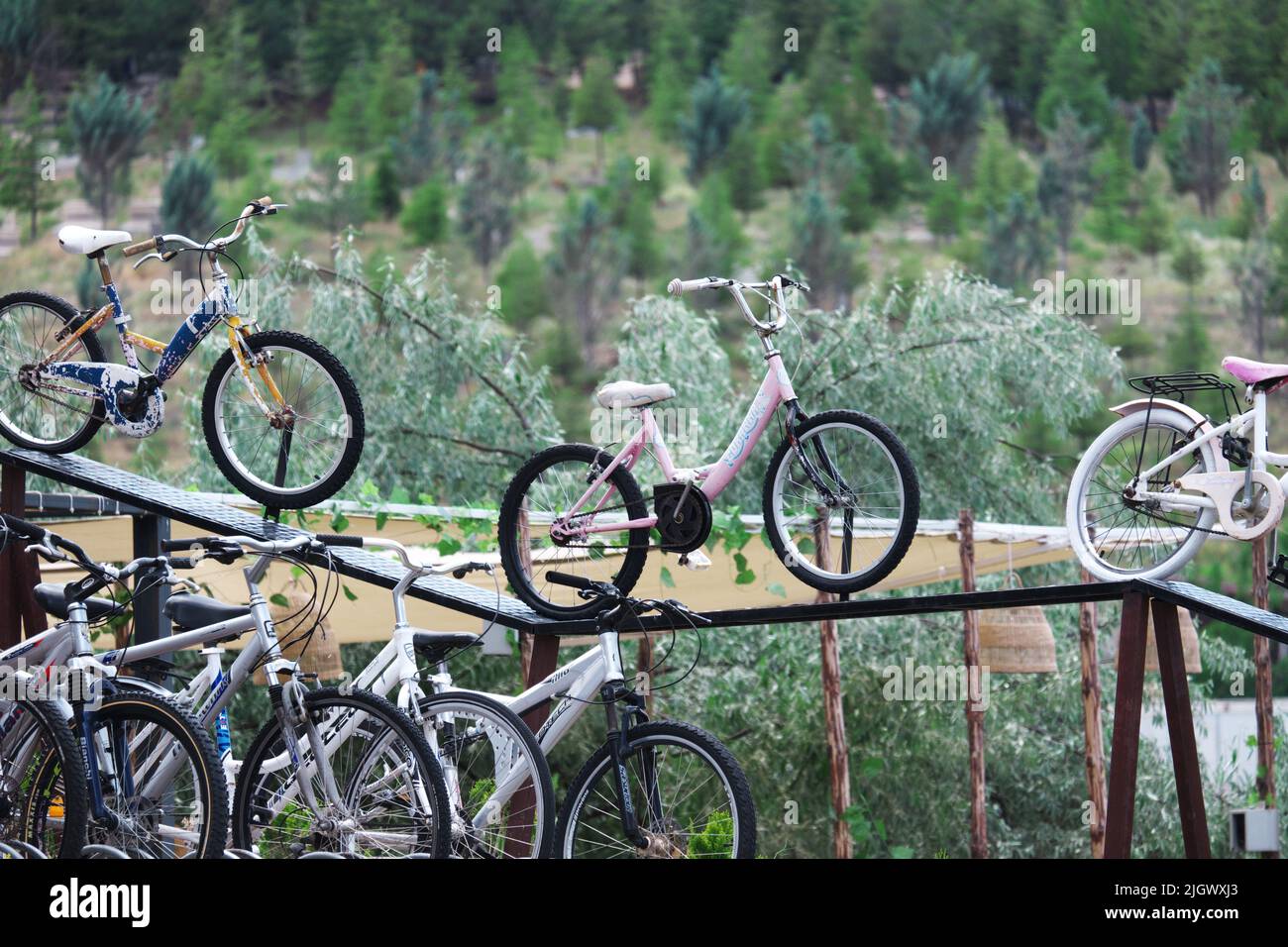 Many Bicycles parked at different platforms with trees at the ...